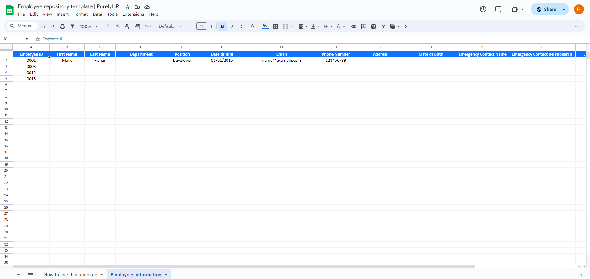 How to use the PurelyHR employee repository template